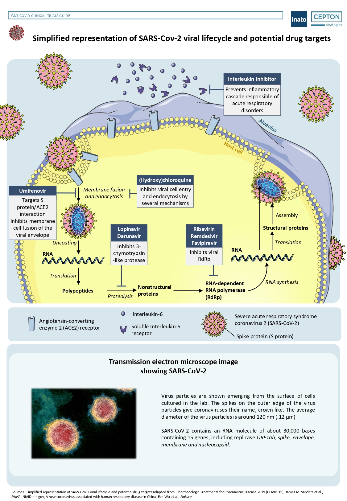COVIDNews CEPTON-INATO #3 – Consulting Firm in Pharmaceutical, MedTech ...